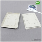 3-Compartments Unbleached Biodegradable  Sugarcane Pulp Tray With Lid,Renewable Resources Biodegradable Food Containers supplier