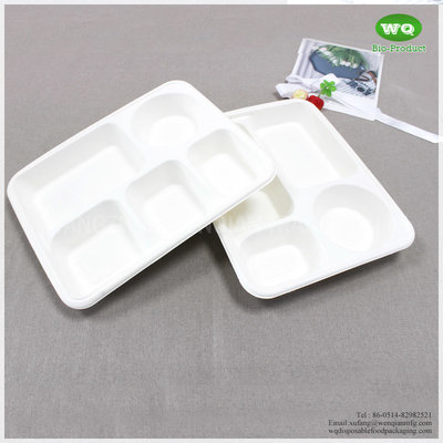 5 Compartments Unbleached Bagasse Tray-China Factory Offer Eco-friendly Fast Food Box Container Tray for Hot Foods supplier