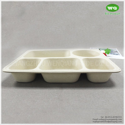 5 Compartments Unbleached Bagasse Tray-China Factory Offer Eco-friendly Fast Food Box Container Tray for Hot Foods supplier