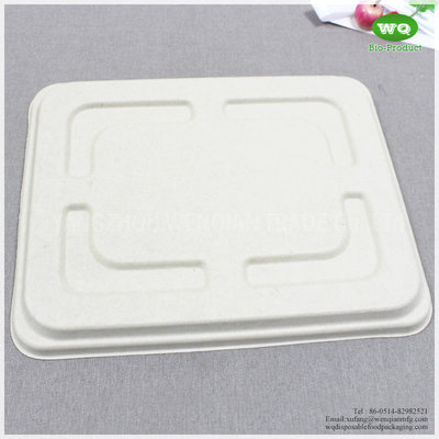 5 Compartments Unbleached Bagasse Tray-China Factory Offer Eco-friendly Fast Food Box Container Tray for Hot Foods supplier