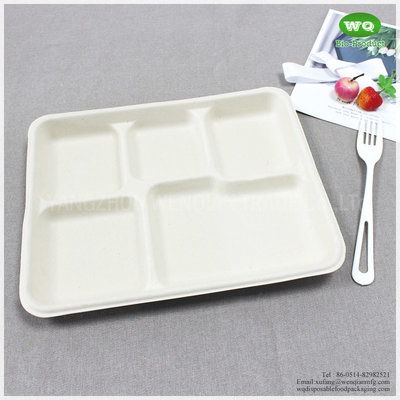 100% Biodegradable Sugarcane Pulp 5 Compartments Tray-High quality Biodegradable food tray For birthday parties supplier