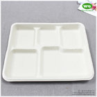100% Biodegradable Sugarcane Pulp 5 Compartments Tray-High quality Biodegradable food tray For birthday parties supplier
