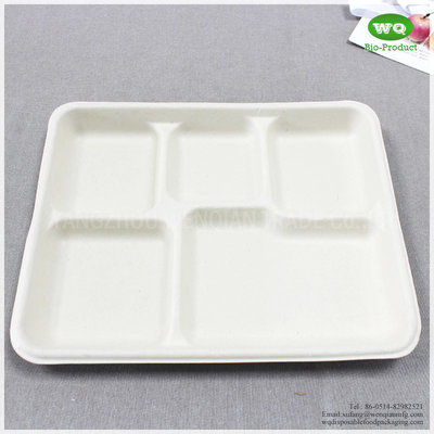 100% Biodegradable Sugarcane Pulp 5 Compartments Tray-High quality Biodegradable food tray For birthday parties supplier