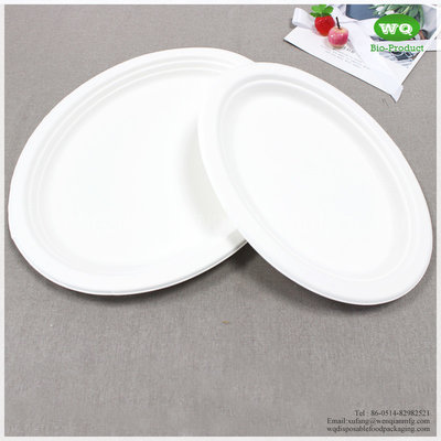 Biodegradable 10/12 Inch Oval Platters Made From Natural Sugarcane Pulp- Bamboo Dinner Plate Melamine Dinner Plate supplier