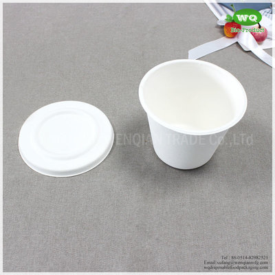 15oz(425ml) Biodegradable Bleached Sugarcane Bagasse  Cup With Lid -Easy Green Disposable Use Compostable Drinking Cup supplier