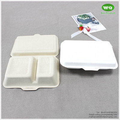 1000ml Sugarcane Pulp 2- Compartments Hinged Lid Lunch Box-Heavy-Duty Compostable Clamshell Take Out Food Containers supplier