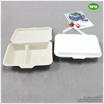 1000ml Sugarcane Pulp 2- Compartments Hinged Lid Lunch Box-Heavy-Duty Compostable Clamshell Take Out Food Containers supplier