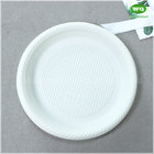 Eco-Friendly Natural Plant 10 Inch 3-Compartments -Disposable Bioplastic 10 Inch Plate-Biodegradable Plastic Party Plate supplier