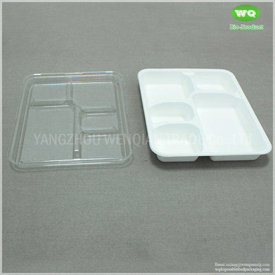 Bleached Color 5 Compartments Sugarcane Pulp Plate With Clear PET Lid-100% Compostable Sugarcane Fiber Plates,Trays supplier