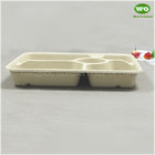 5-Coms Biodegradable Rectangle Tray With Lid-Bagasse Sugarcane Fiber Tableware-Low Carbon Footprint Disposable Tray supplier