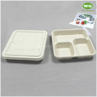 Biodegradable Sugarcane Pulp 3-Coms Square Disposable Lunch Tray With Lid-100% Compostable Disposable Catering Trays supplier