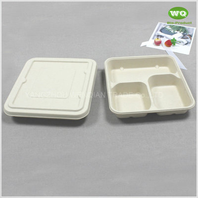 Biodegradable Sugarcane Pulp 3-Coms Square Disposable Lunch Tray With Lid-100% Compostable Disposable Catering Trays supplier