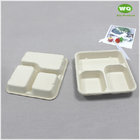 Biodegradable Sugarcane Pulp 3-Coms Square Disposable Lunch Tray With Lid-100% Compostable Disposable Catering Trays supplier