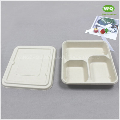 Biodegradable Sugarcane Pulp 3-Coms Square Disposable Lunch Tray With Lid-100% Compostable Disposable Catering Trays supplier