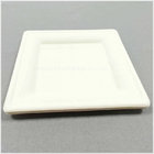 China Facotry Wholesale Sugarcane Pulp Square Plate-6 Inch/8inch/10inch,100% Biodegradable Disposable Square Party Plate supplier