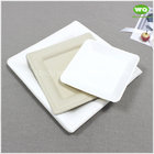 China Facotry Wholesale Sugarcane Pulp Square Plate-6 Inch/8inch/10inch,100% Biodegradable Disposable Square Party Plate supplier