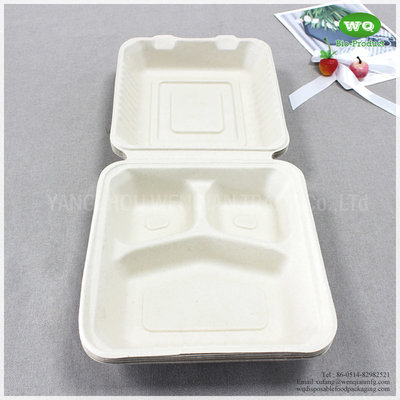 8x8 Inch Three Compartments Compostable Sugarcane Fiber Disposable Lunch Box-Disposable Food Packaging Manufacturer supplier