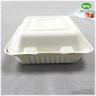 8x8 Inch Three Compartments Compostable Sugarcane Fiber Disposable Lunch Box-Disposable Food Packaging Manufacturer supplier