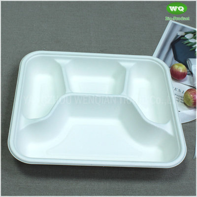 Biodegradable Sugarcane Pulp 3-Compartment Food Box-High Quality Plant Fiber Takeaway Food Container Supplier In China supplier