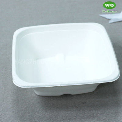 Eco-Friendly Square Sugarcane Pulp Takeaway Container With PET Dome Lid -Compostable Disposable Foodservice Products supplier