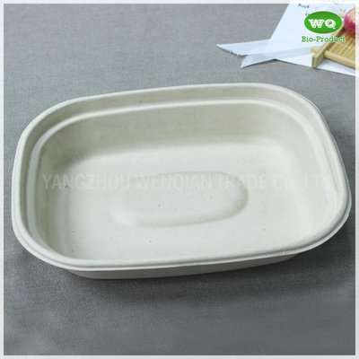 1100ml Biodegradable Natural Pulp Meal Box Eco-Friendly Paper Pulp Takeaway Food Container-China Factory Lunch Box supplier