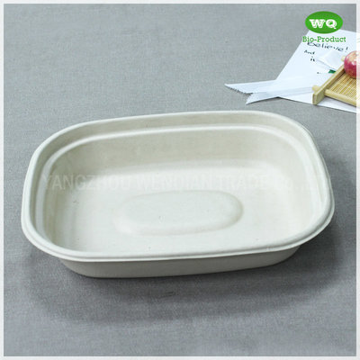 1100ml Biodegradable Natural Pulp Meal Box Eco-Friendly Paper Pulp Takeaway Food Container-China Factory Lunch Box supplier