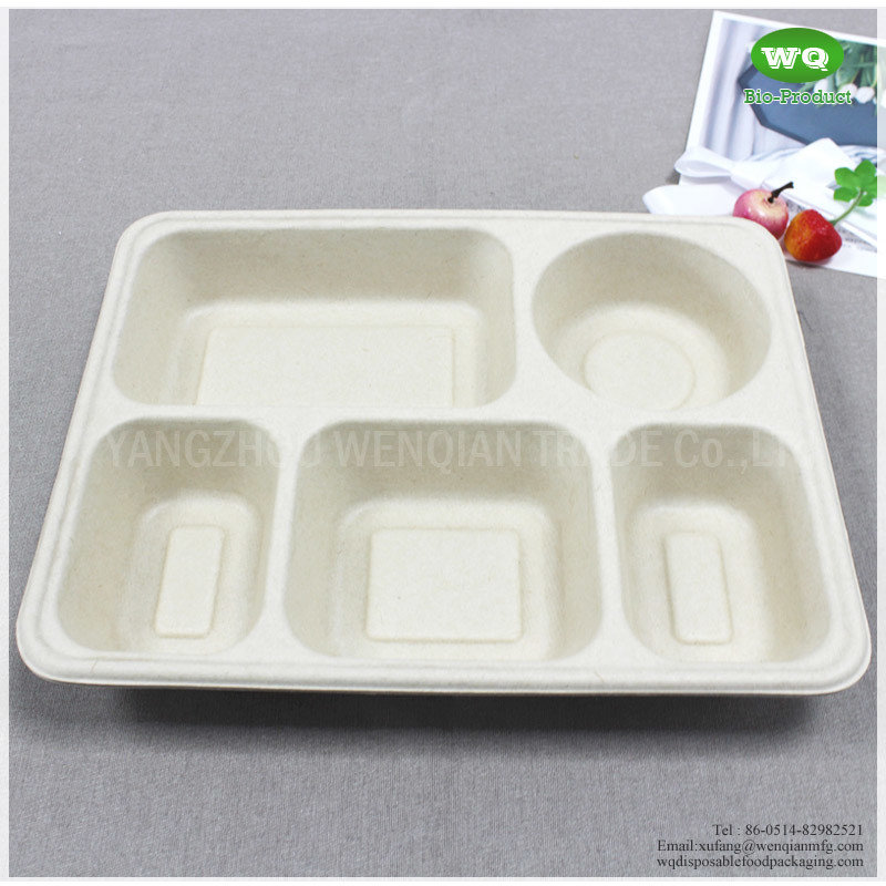 5 Compartments Unbleached Bagasse Tray-China Factory Offer Eco-friendly Fast Food Box Container Tray for Hot Foods supplier