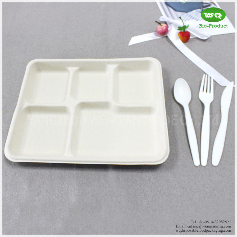 100% Biodegradable Sugarcane Pulp 5 Compartments Tray-High quality Biodegradable food tray For birthday parties supplier