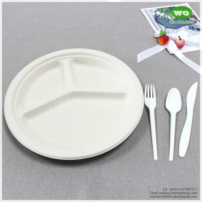 Biodegradable Sugarcane 10 Inch 3-Compartments Plate-HeavyDuty Plate, Natural Disposable Bagasse Plate for Party,Picnic supplier