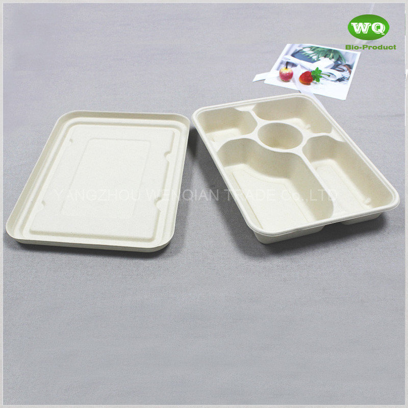 5-Coms Biodegradable Rectangle Tray With Lid-Bagasse Sugarcane Fiber Tableware-Low Carbon Footprint Disposable Tray supplier