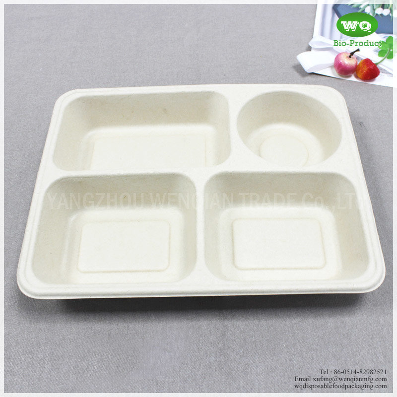 Disposable 4-Compartments Unbleached Bagasse Tray With Lid-Biodegradable Containers / Bento Box / Meal Prep Containers supplier