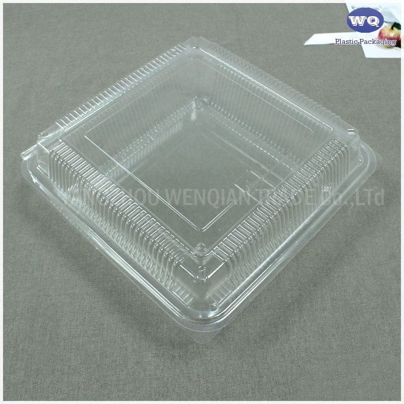 Disposable Fruit Packaging Box-Factory Offer Disposable Plastic takeaway containers-Clear BOPS Material fruit box supplier