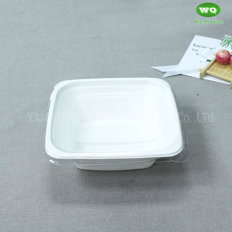 Eco-Friendly Square Sugarcane Pulp Takeaway Container With PET Dome Lid -Compostable Disposable Foodservice Products supplier