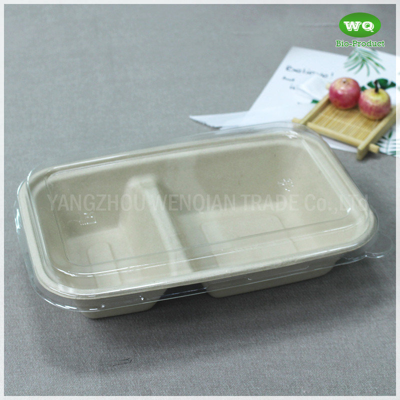 Biodegradable Unbleached 3-7 Lunch Box with Clear PET Lid- Eco-friendly Paper Pulp Bagasse Takeaway Food Containers supplier