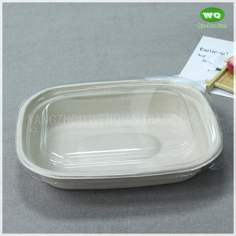 1100ml Biodegradable Natural Pulp Meal Box Eco-Friendly Paper Pulp Takeaway Food Container-China Factory Lunch Box supplier